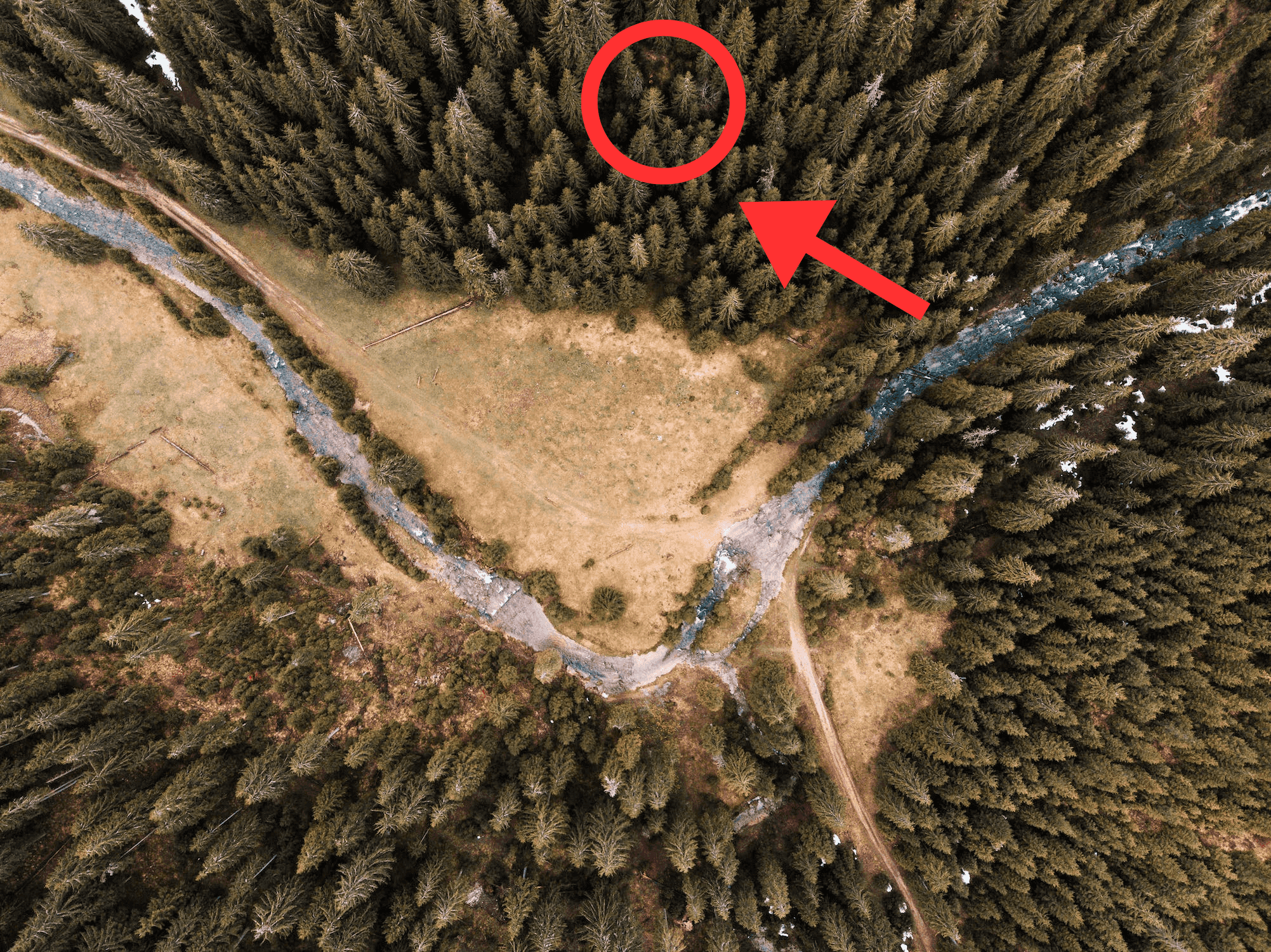 Un dron capta algo que nadie debía ver